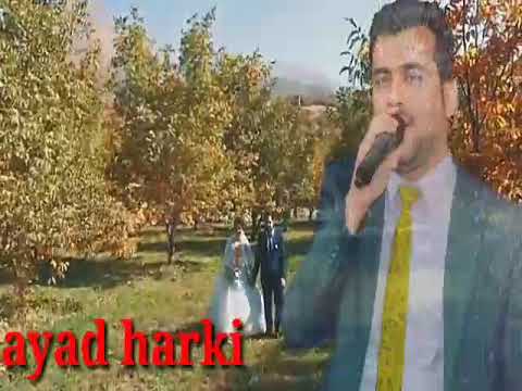 ayad harki 2018