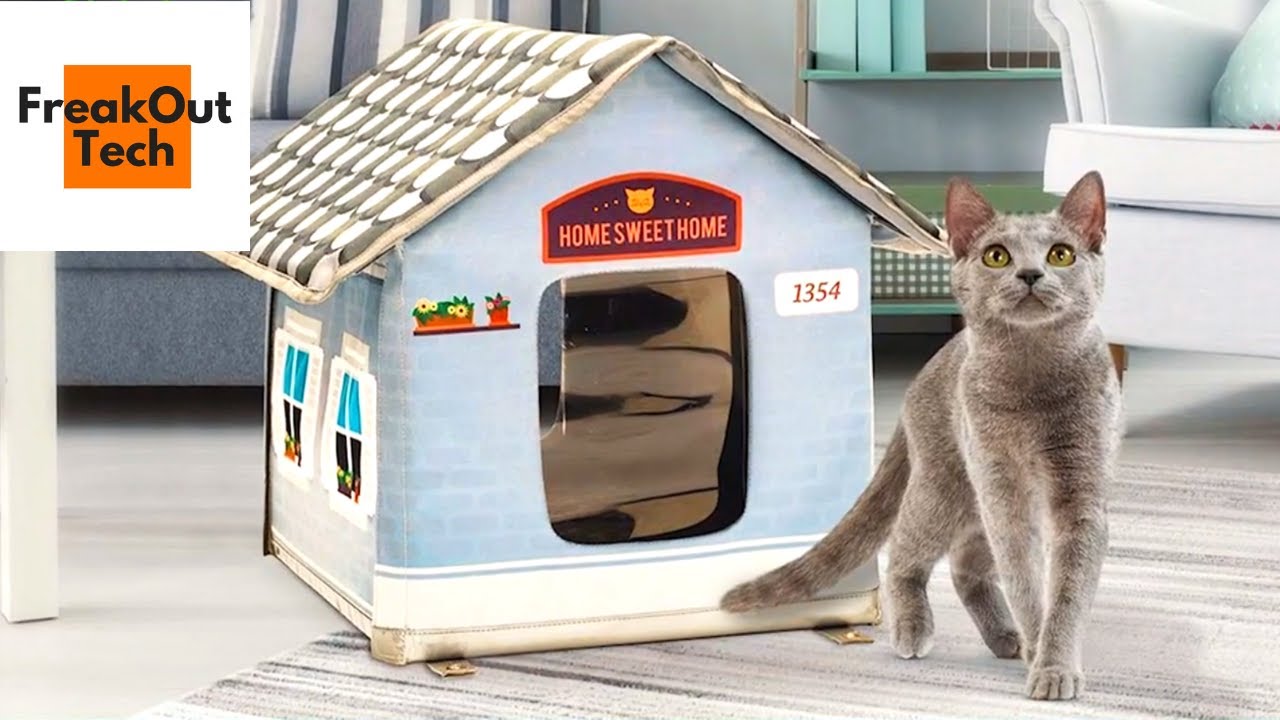 6 Amazing Inventions For Your Cat - YouTube