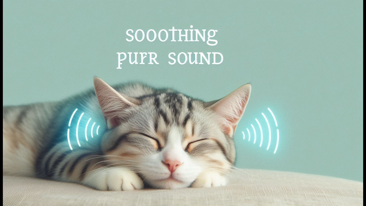 Soothing Cat Purr Sound Effect | Calming and Relaxing Audio - YouTube