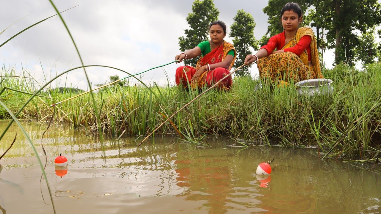 Fishing video |Best Hook Fishing in paddy field | lady caught fish in ...