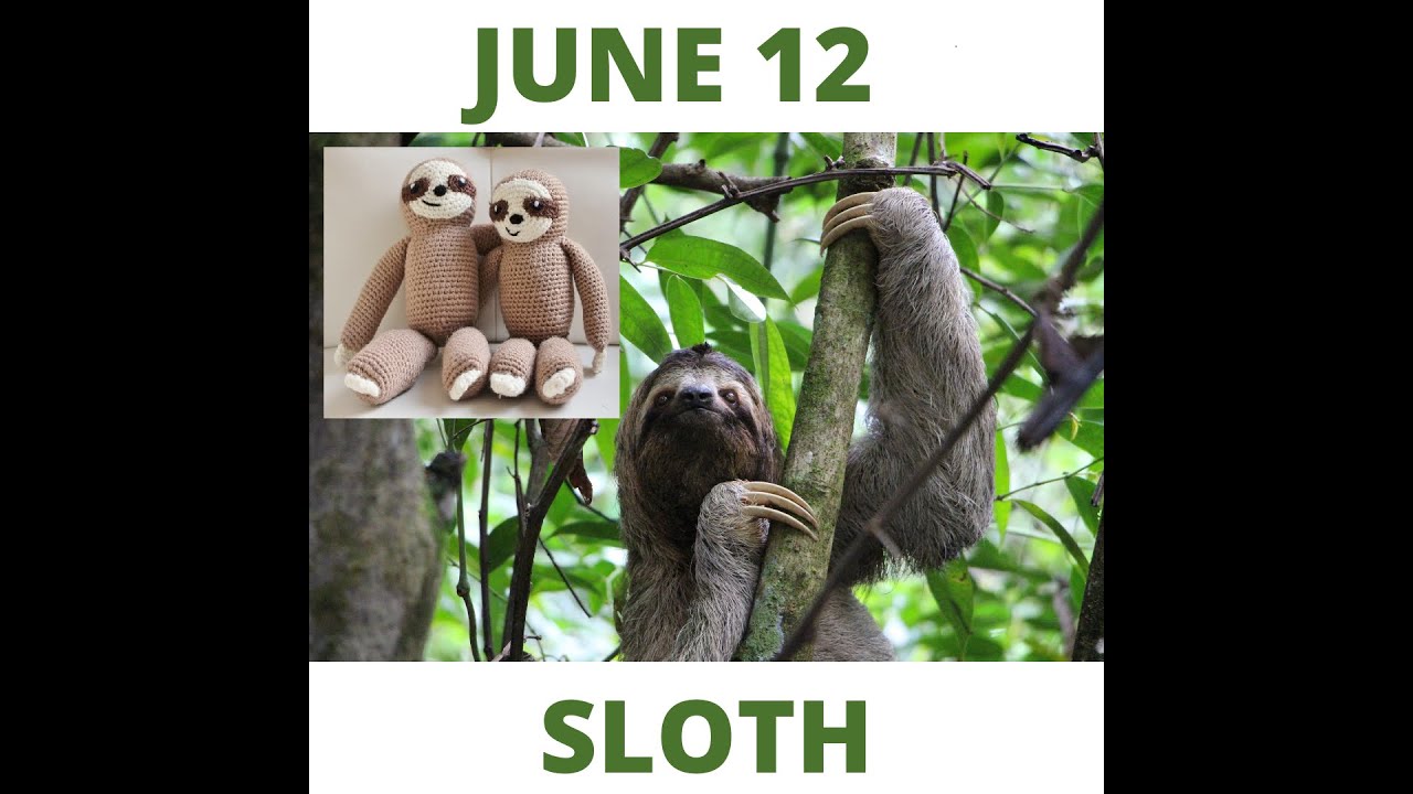 Jack the Sloth - YouTube