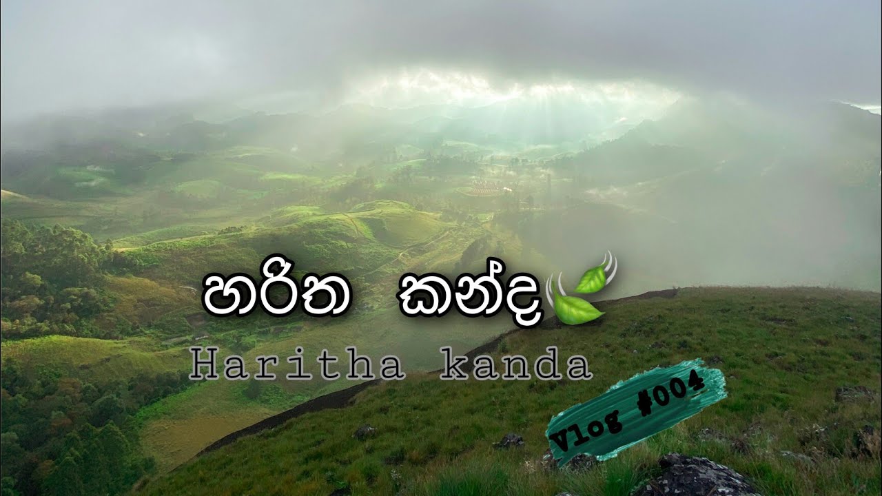හරිත කන්ද |Haritha kanda | little New Zealand | Bogawanthalawa | hatton ...