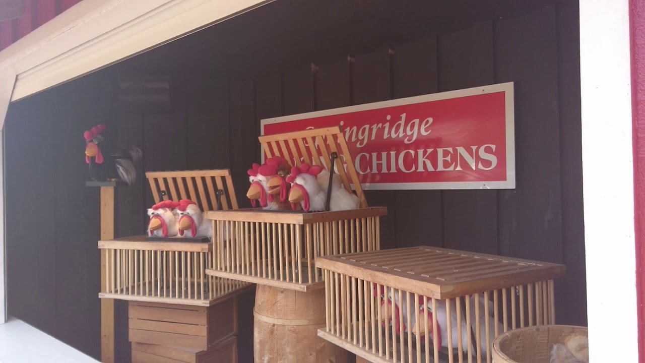 Corny Chicken Jokes at Springridge Farm - YouTube