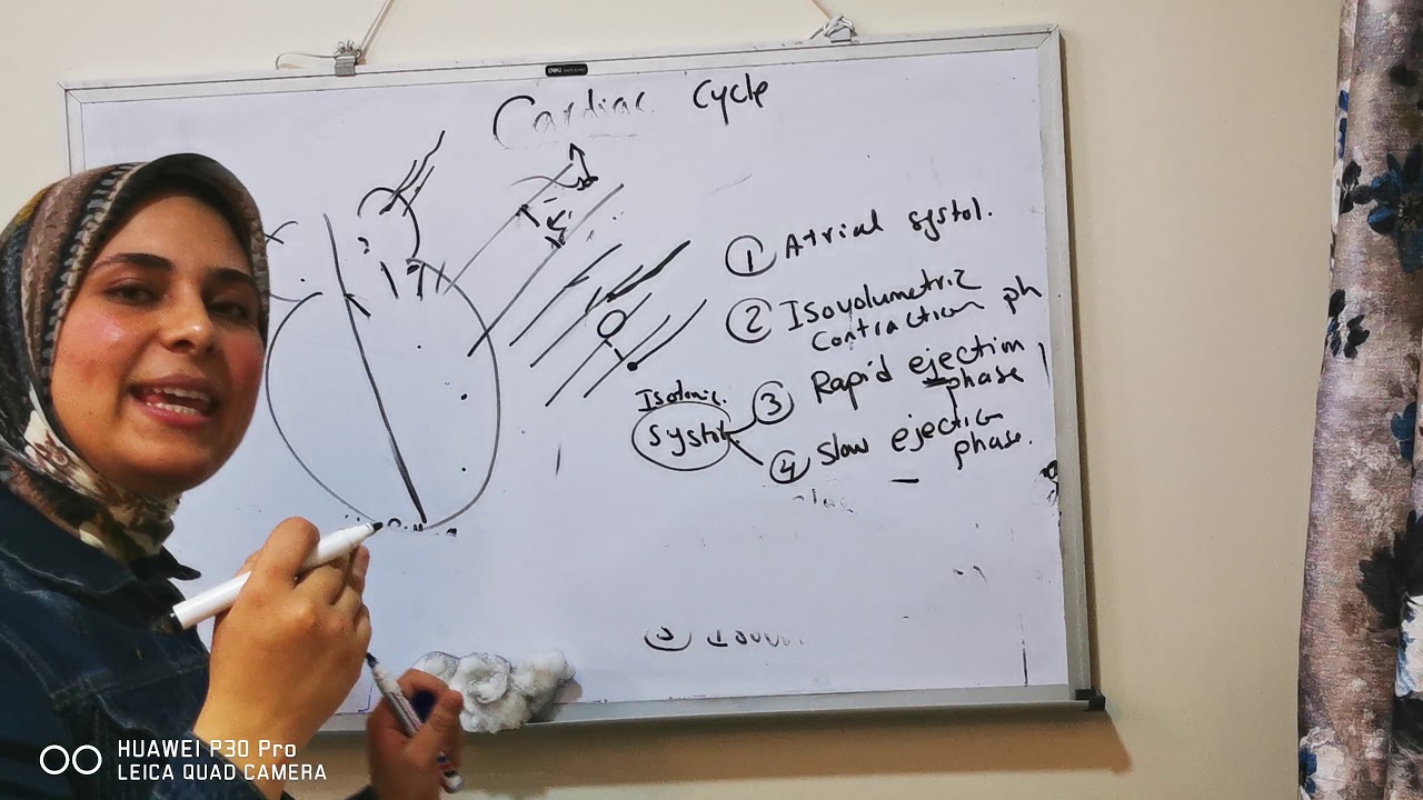 Dr.Aliaa cardiac cycle 2 - YouTube
