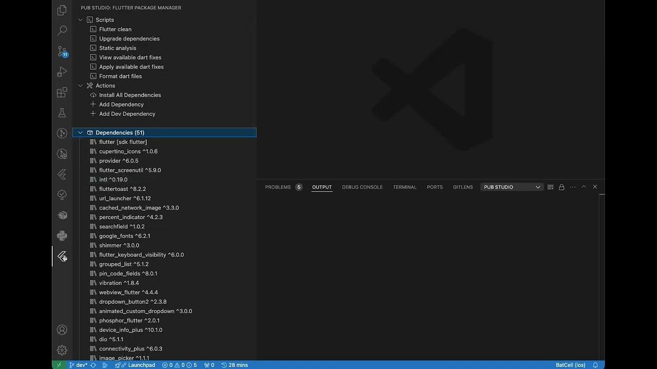 Managing dependencies with pub studio - YouTube