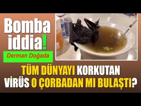 Dünyayı Sarsan Corona Virüsü Nedir? Nasıl Bulaşır