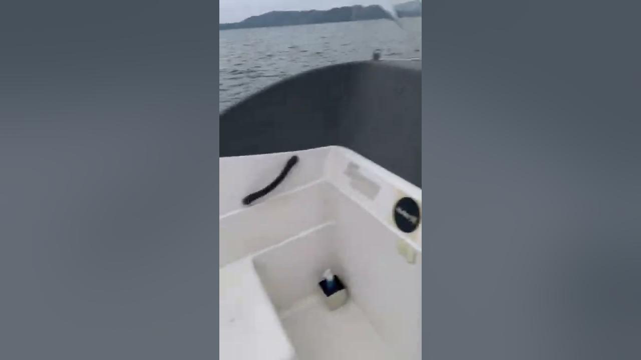 ヤマハ SRV20 紹介動画 メルカリ - YouTube