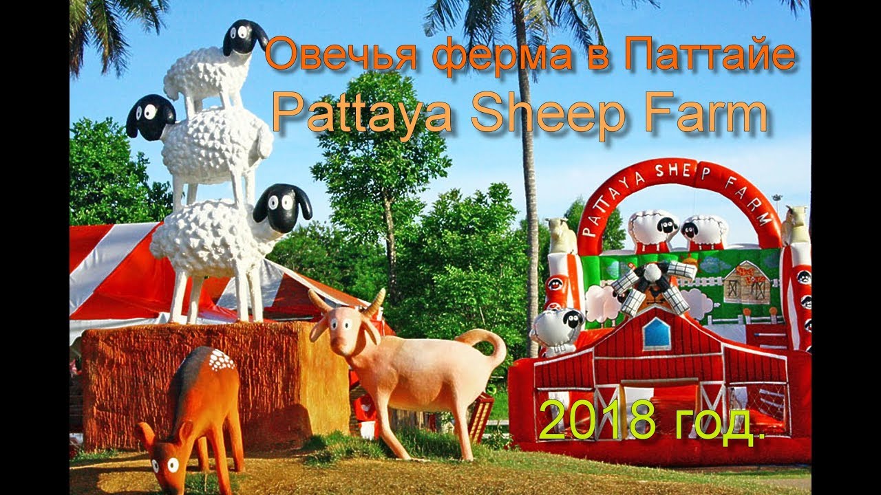 Тайланд, Паттайя, Овечья ферма. Pattaya Sheep Farm. - YouTube