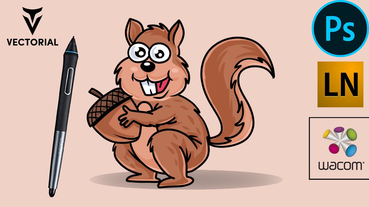 How to draw a squirrel in Adobe Photoshop with wacom tablet - YouTube