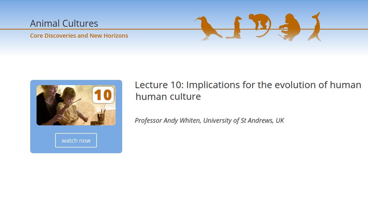 Animal Cultures : Lecture 10 : Implications for the evolution of human ...