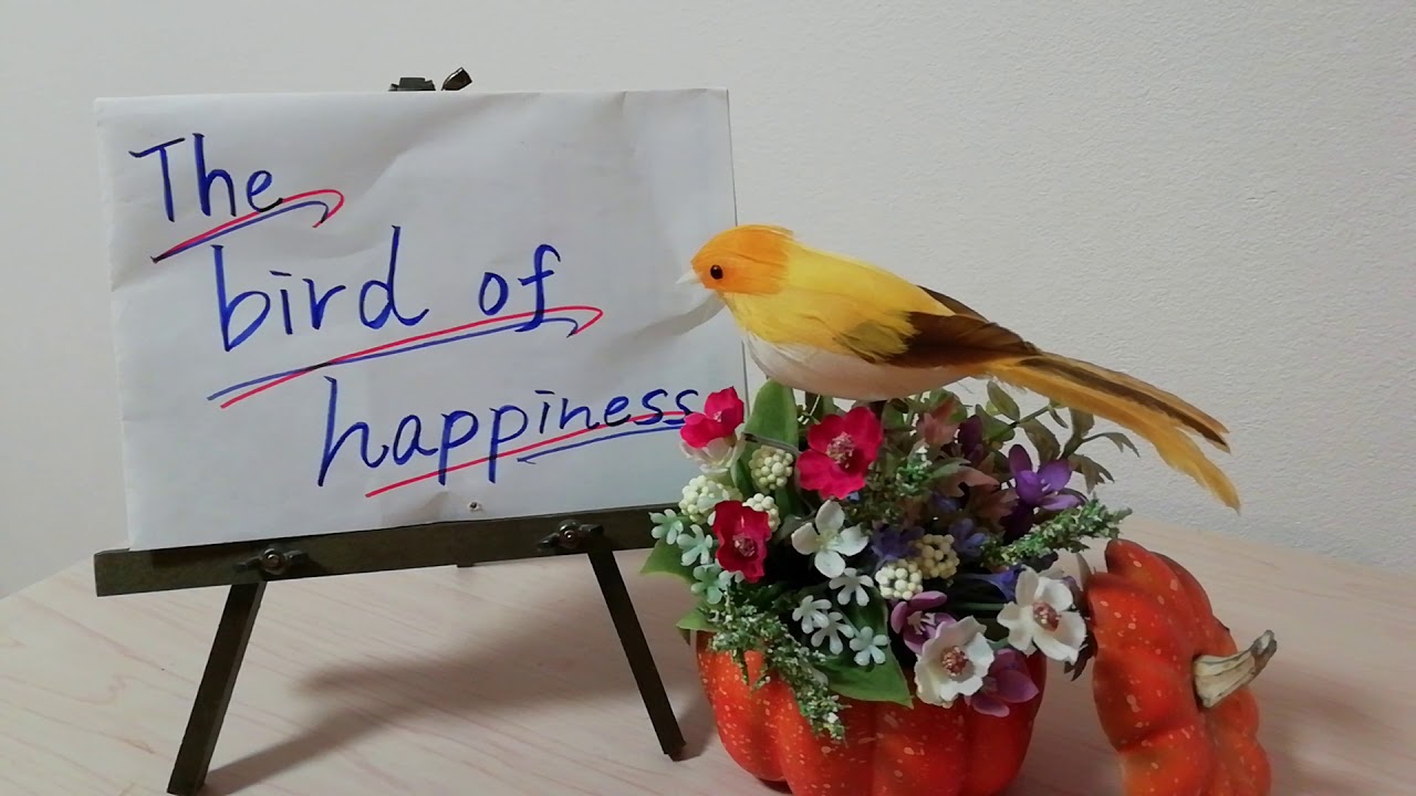 THE BIRD OF HAPPINESS - YouTube
