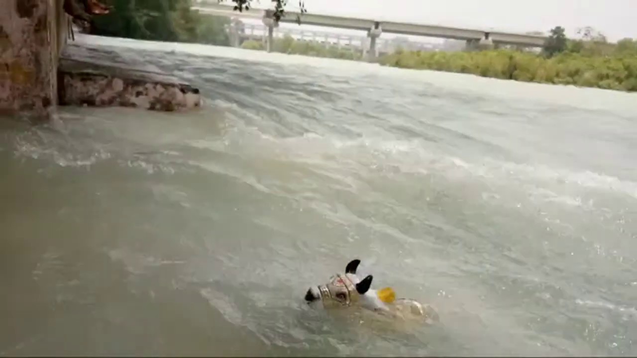 Satluj River Nangal Dam - YouTube