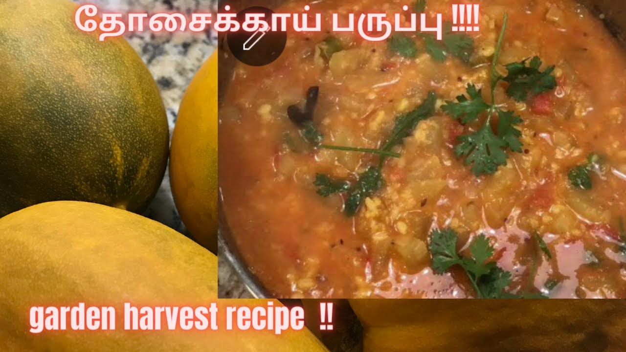 Dosakkai paruppu in Tamil |Dosakkai Recipe in Tamil |Andhra Style ...