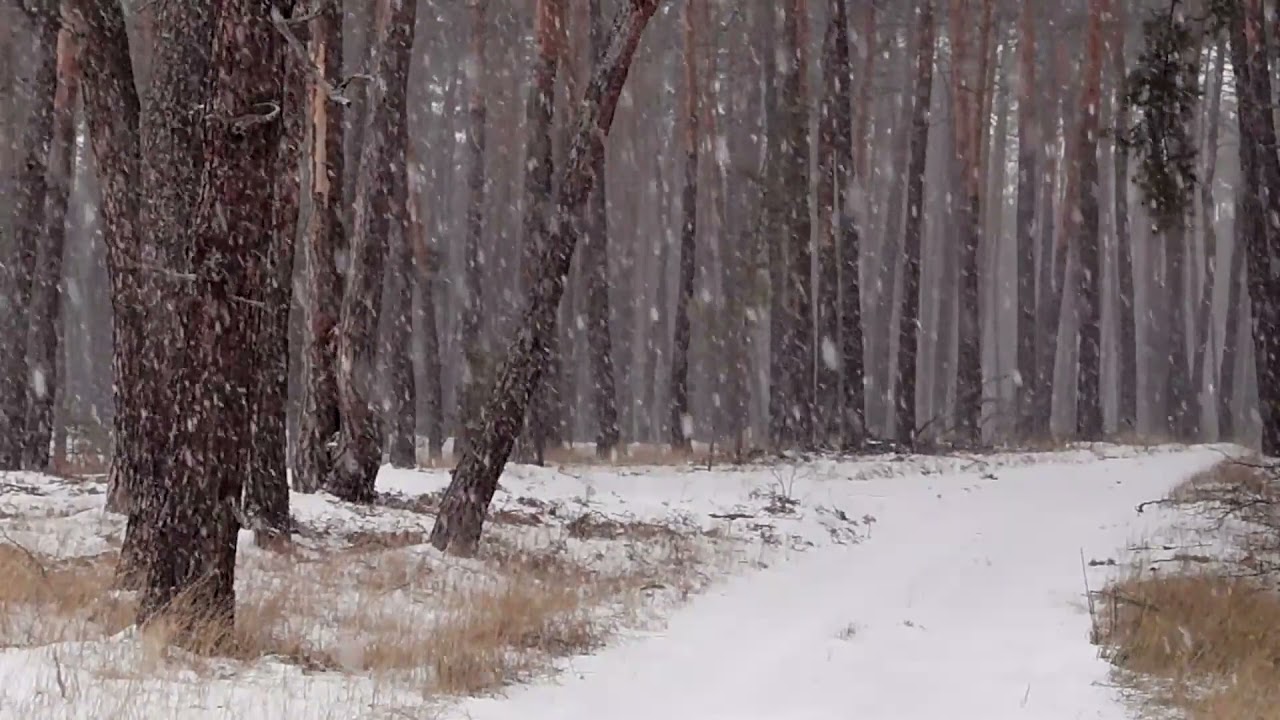 Laissez-moi dormir, son du vent froid d'hiver, tempête de neige ...