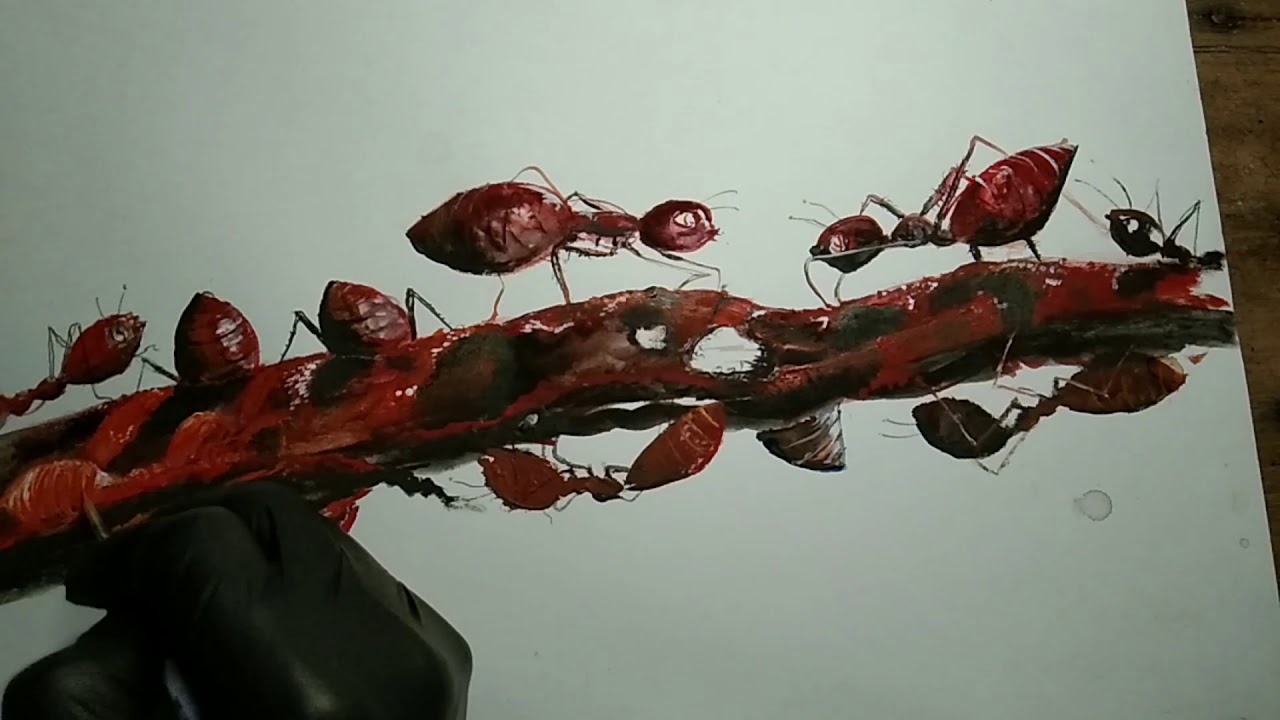 HOW TO PAINTING ANTS/WATERCOLOR/PART 015: ZULKURNANIN ART - YouTube