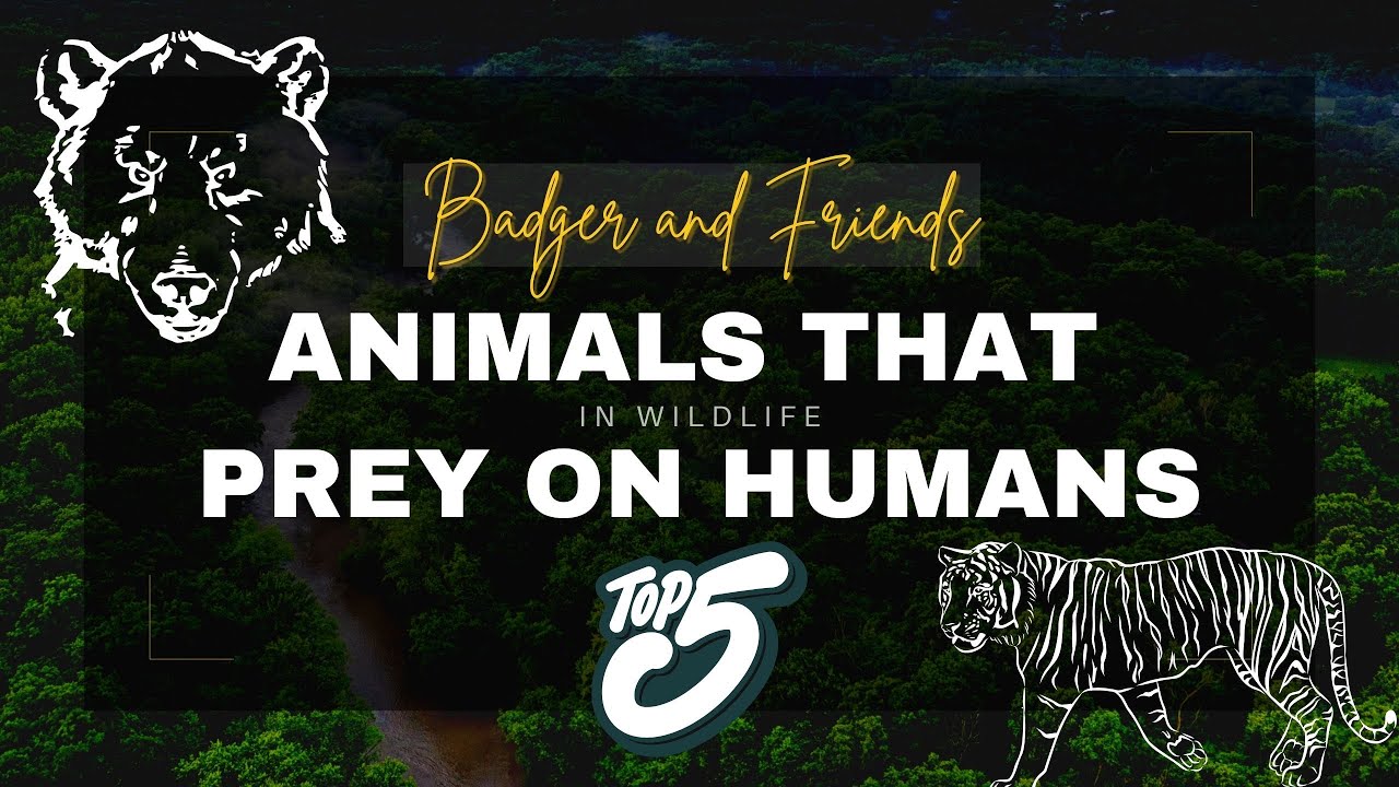 Man Eaters Top 5 Animals That Prey on Humans - YouTube