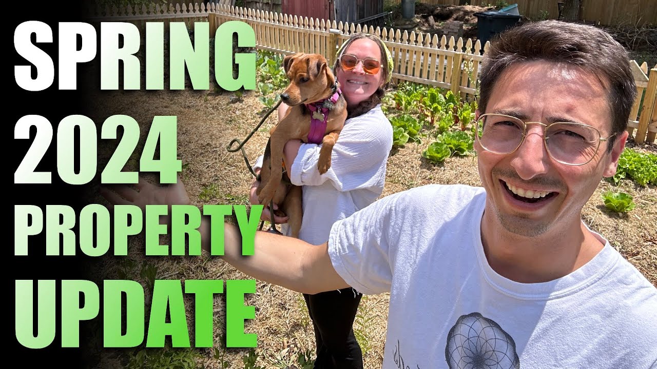 Spring 2024 Update (Bees, Garden, Tree Web) - YouTube