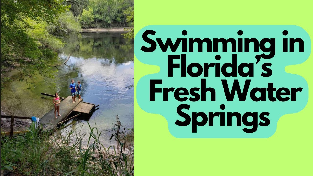 Swimming in Florida's Fresh Water Springs - YouTube