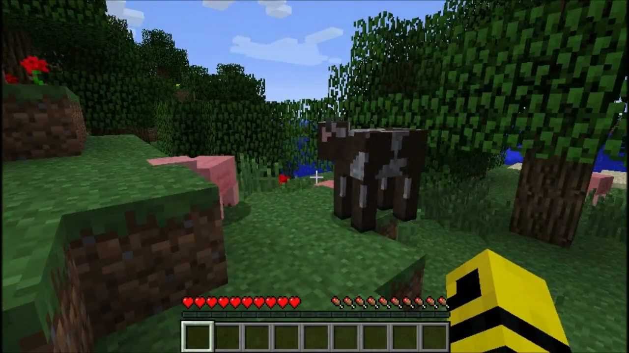 Canadian Girls Play Minecraft?!?! (Part 1) - YouTube