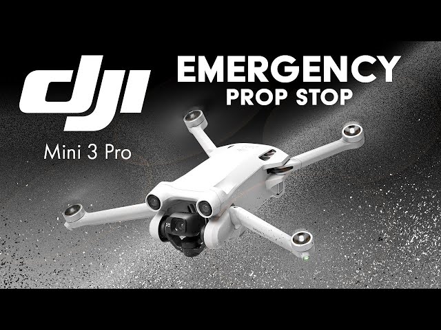 Dji mini 2 emergency stop store