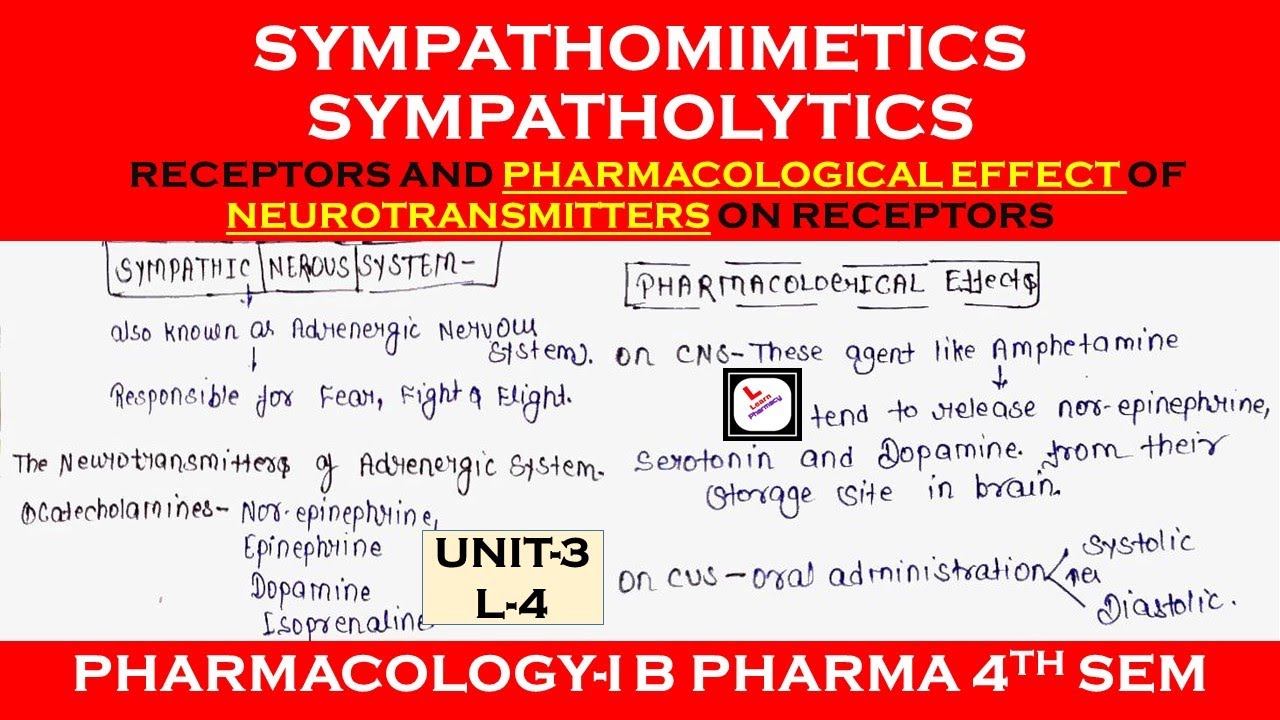 Sympathomimetics | Sympatholytics | Adrenergic drugs | unit 3 ...