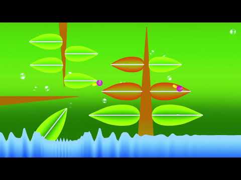 Hanenbow | Super Smash Bros Ultimate stage. - YouTube