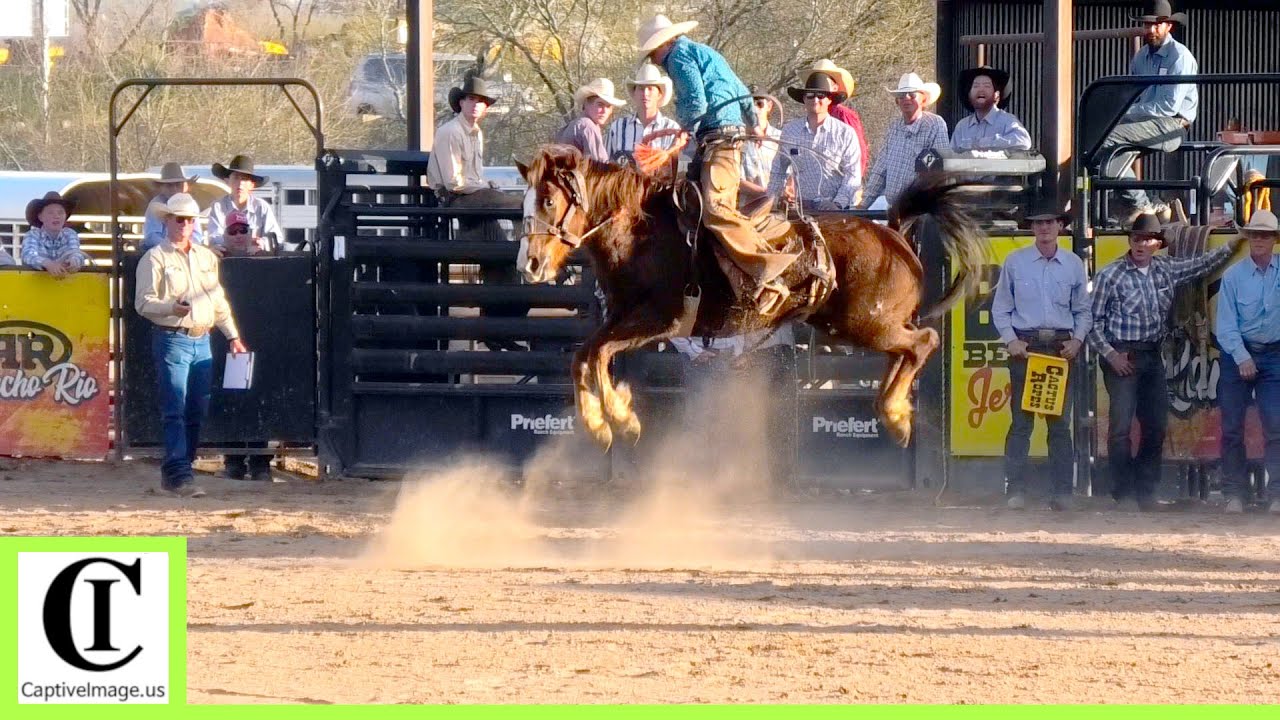 Bronc Riding - 2024 Lowell Goemmer Memorial Rodeo - YouTube