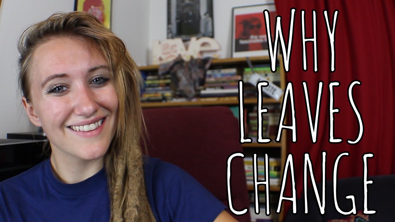 How Leaves Change Color YouTube how-leaves-change-color-youtube