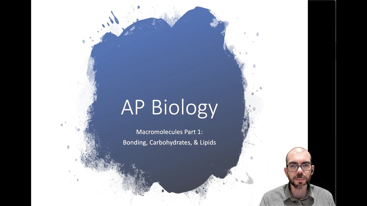 Macromolecules Part 1 - AP Biology - YouTube