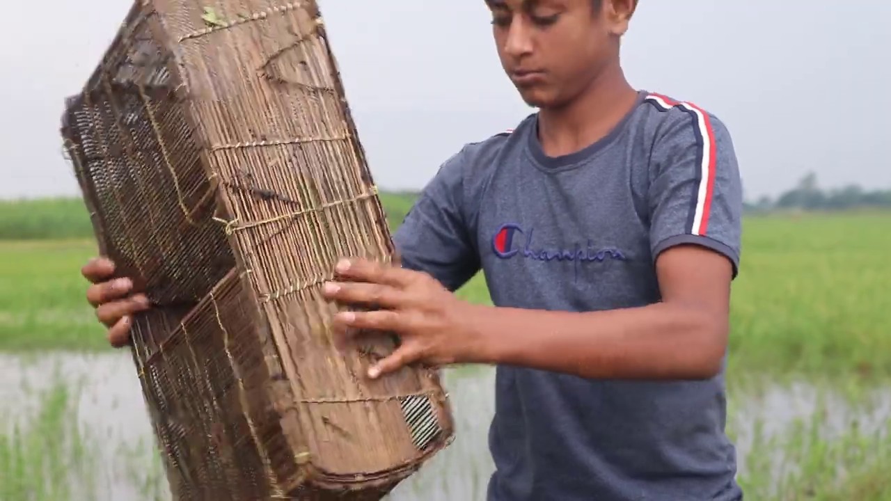 Best Primitive fishing Technology in village life| Fishing Videos - YouTube