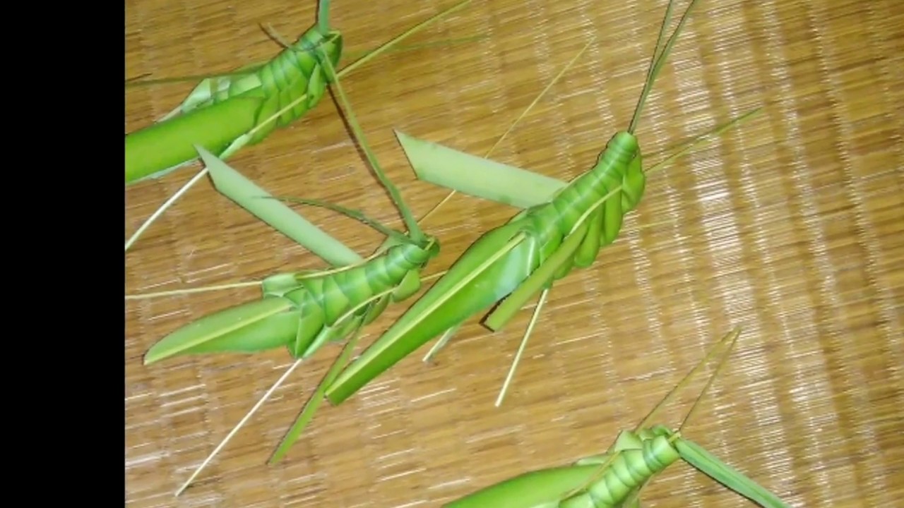 How to make palm insect 1 (coconut tree leaves) - YouTube