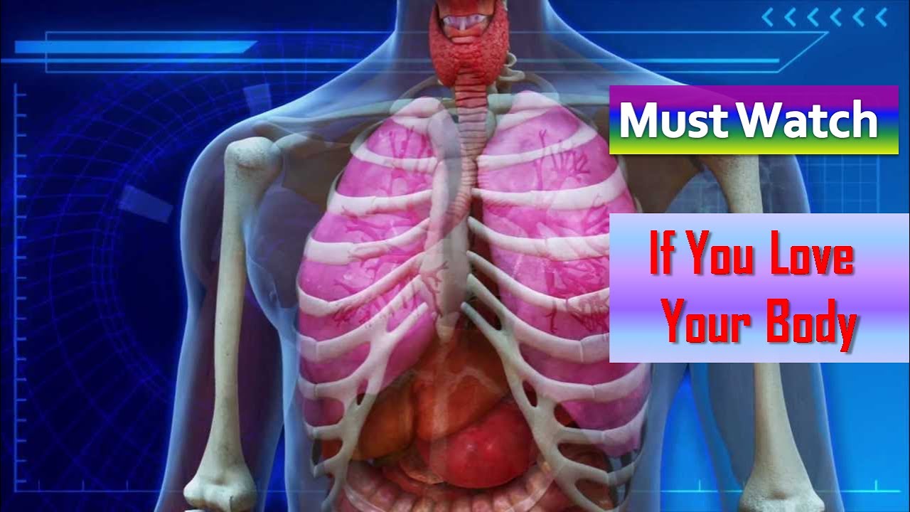 How Do Your Body Parts Work? How Valuable Your Body Is? Know In Hindi ...