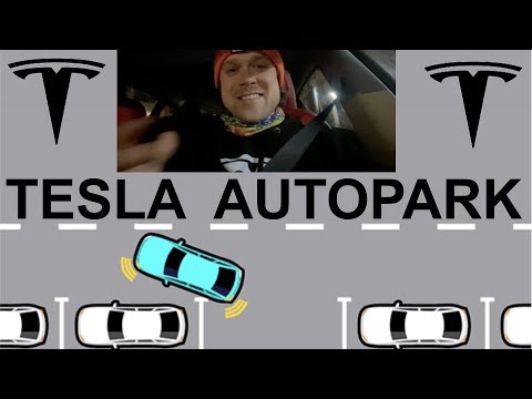Tesla Auto Park - Never parallel parking my car again!? - YouTube