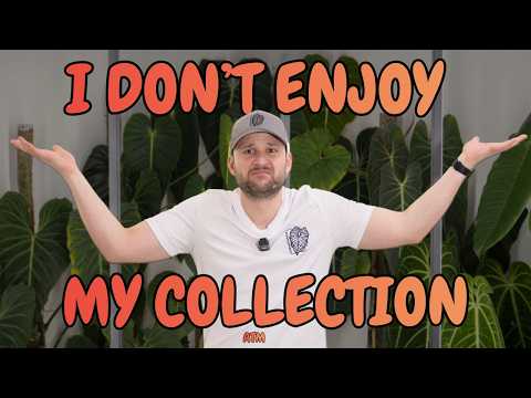 Full Apartment & Houseplant Tour - September 2026