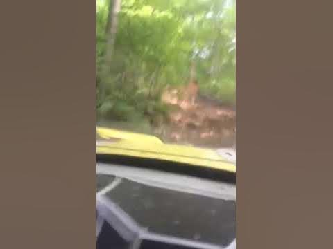 Riding at cloud 9 ranch with buster & cd - YouTube