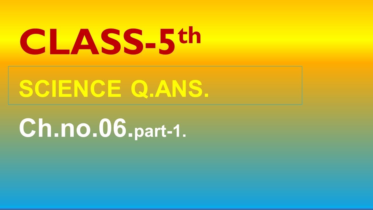 Class 5th Science Chapter 6 Questions Answers 1 YouTube class-5th-science-chapter-6-questions-answers-1-youtube