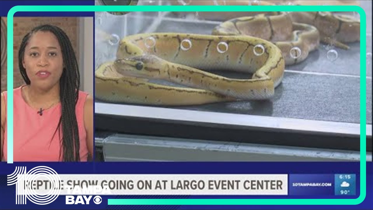 Reptile show going on at Largo Event Center - YouTube