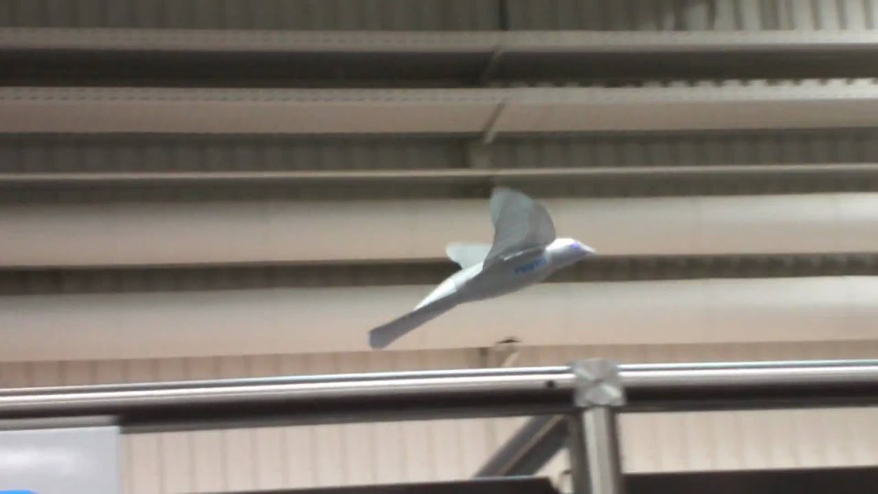 Flying Festo Smartbird 1080p Hannover Messe 2011 - YouTube