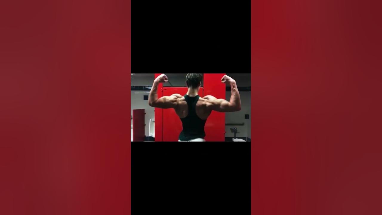 King Of Aesthetics Motivation Davidlaid Gym Aesthetics Youtube