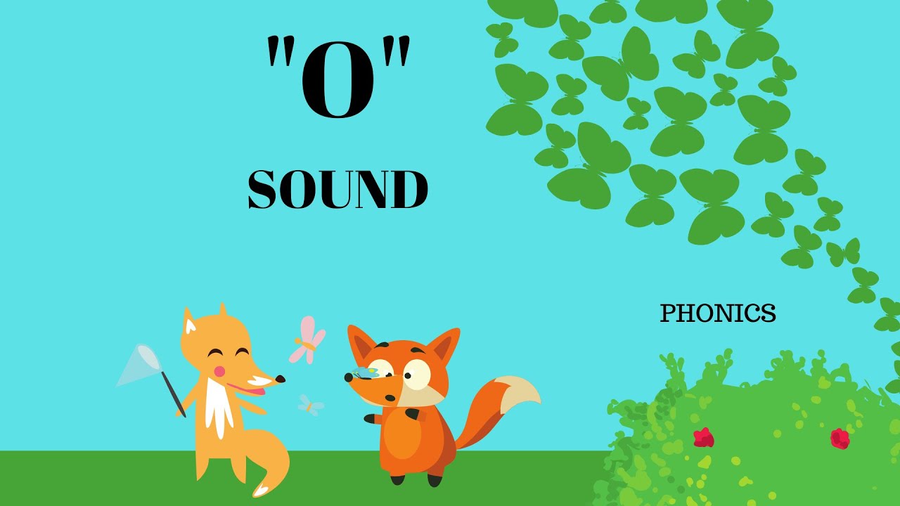 Phonics | Learn to read | Phonics for Kids | read "O" sound words ...