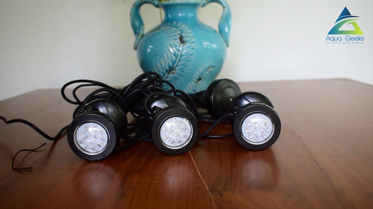 BOYU SDL-03 Spot Lights | submersible light for ponds | LED light ...