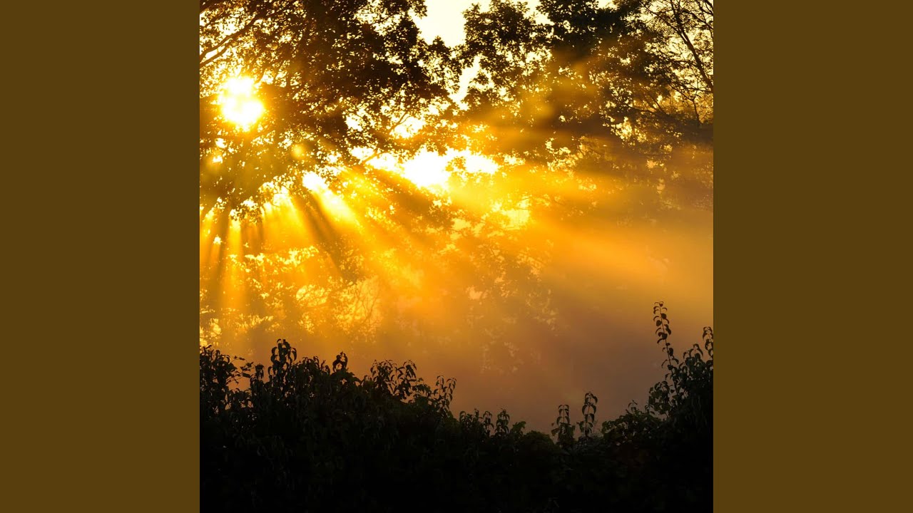she shines so bright like the morning sun - YouTube