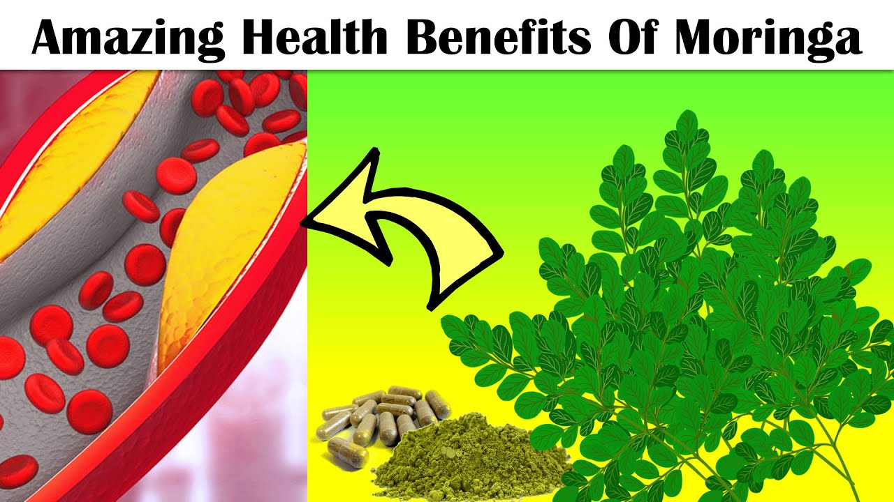 Amazing Health Benefits Of Moringa (Drumstick Tree) |Eat Moringa ...