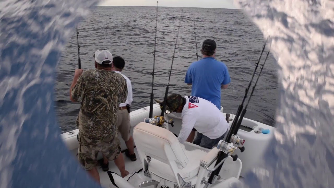 Fishing for yellowfin tunas in Cabo San Lucas - YouTube