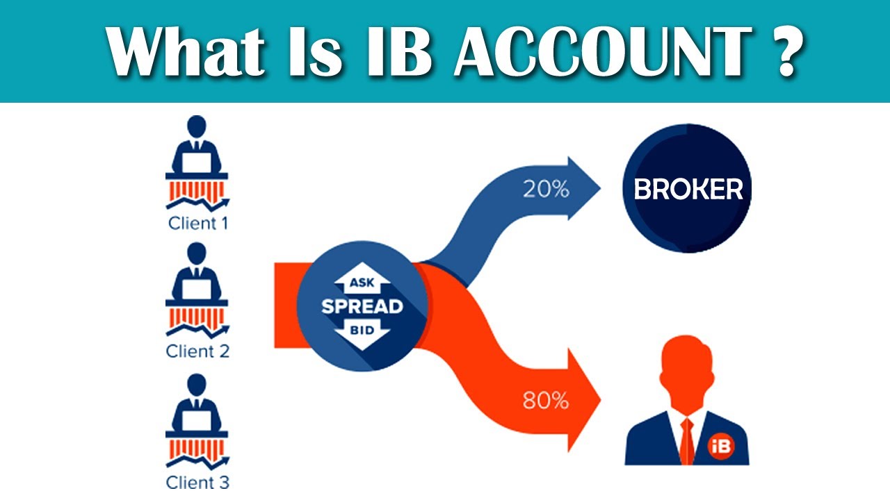 IB Account என்றால் என்ன ? What Is IB Account ? | Tamil Forex - YouTube