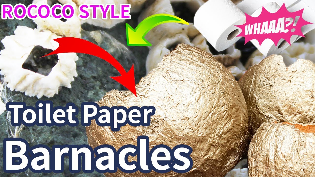 LET'S MAKE TP BARNACLES!! - YouTube