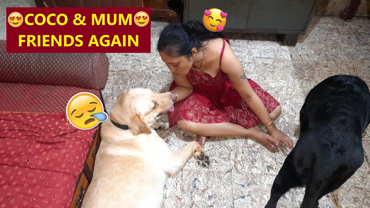 COCO & MUM ARE FRIENDS AGAIN | AFTER BITING MUM'S HAND, BOTH REUNITES ...