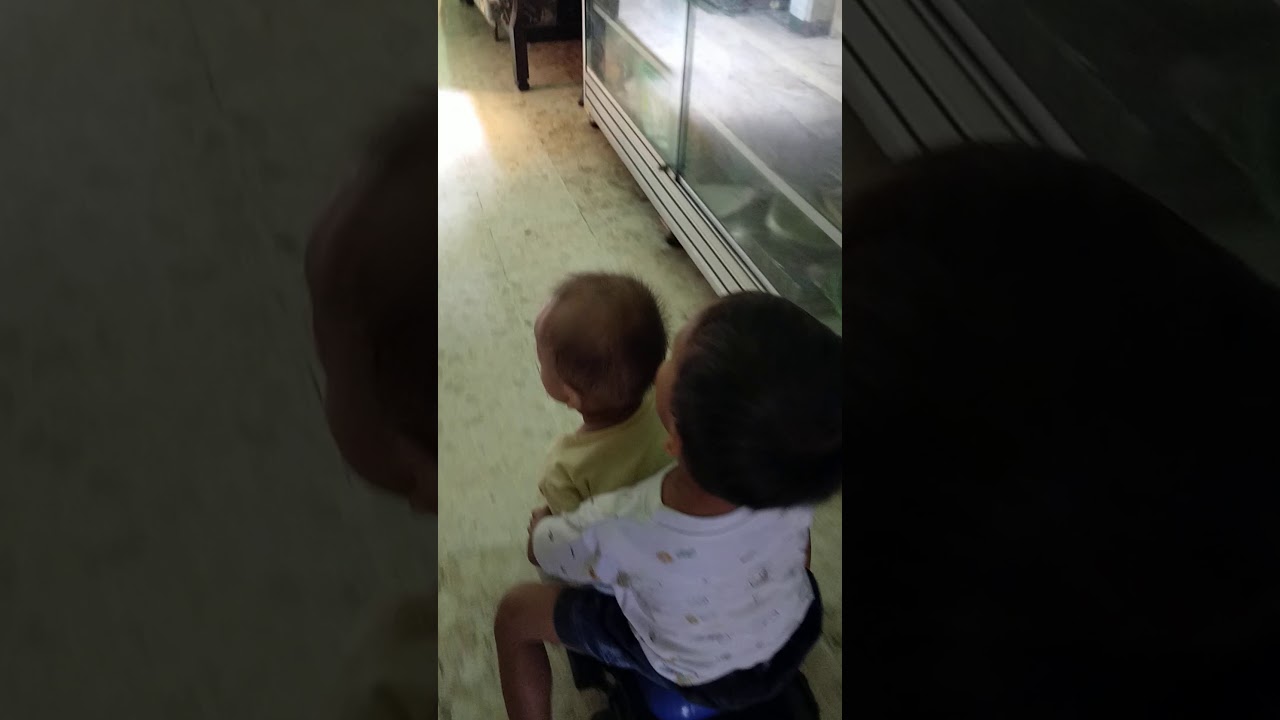 Membuat Kakak Sayang Adek Youtube