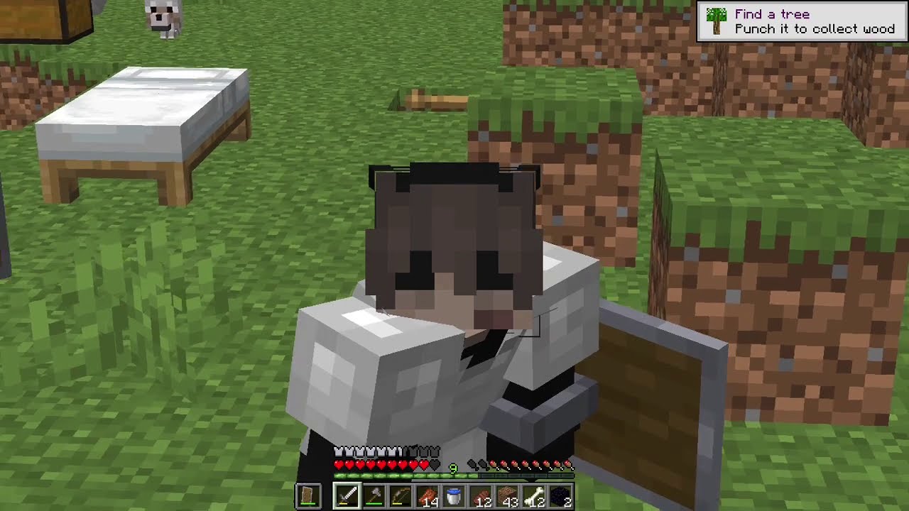 How YOU can join my SMP! - YouTube