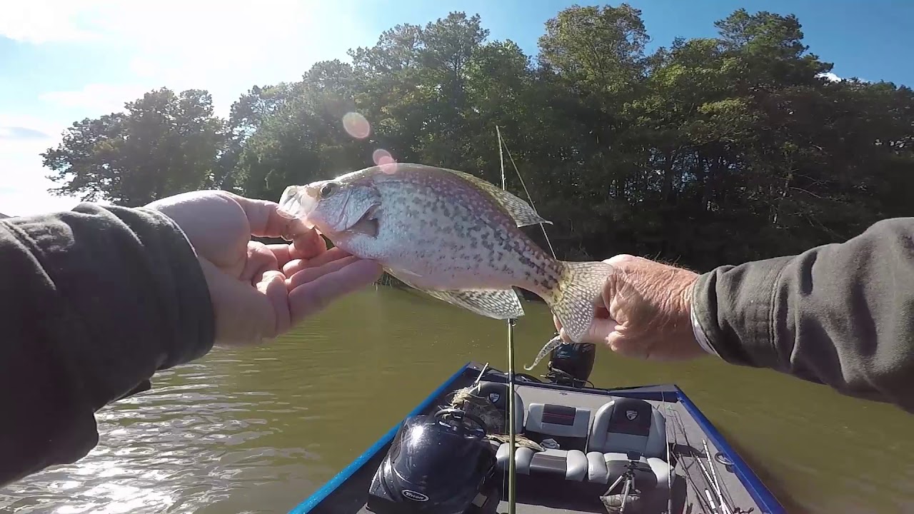 Mix up the colors on Jigs - YouTube